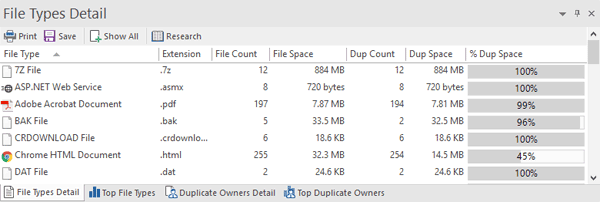 Duplicate File Types Report